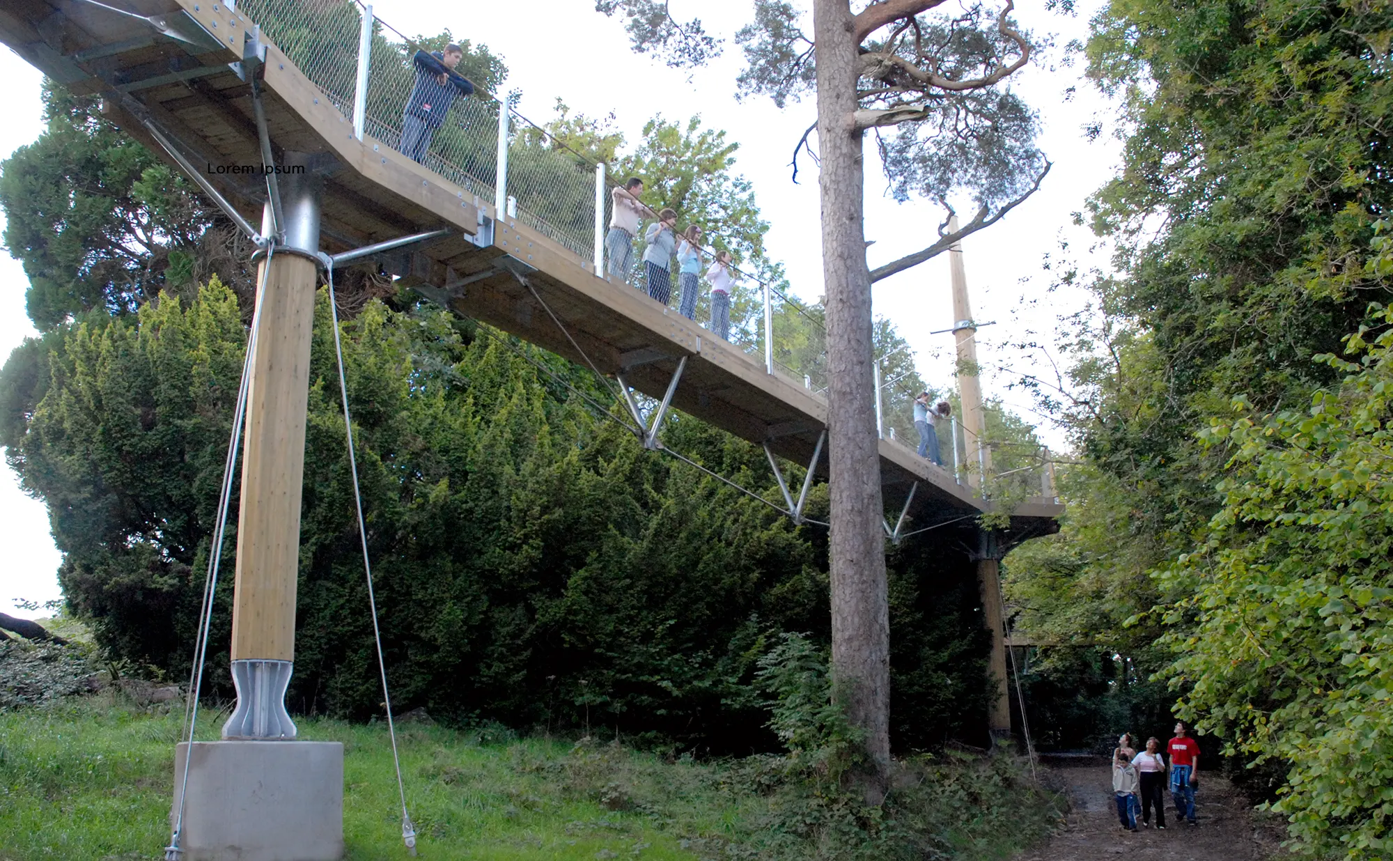 Macalloy | Lough Key Forest, Treetop Walkway
